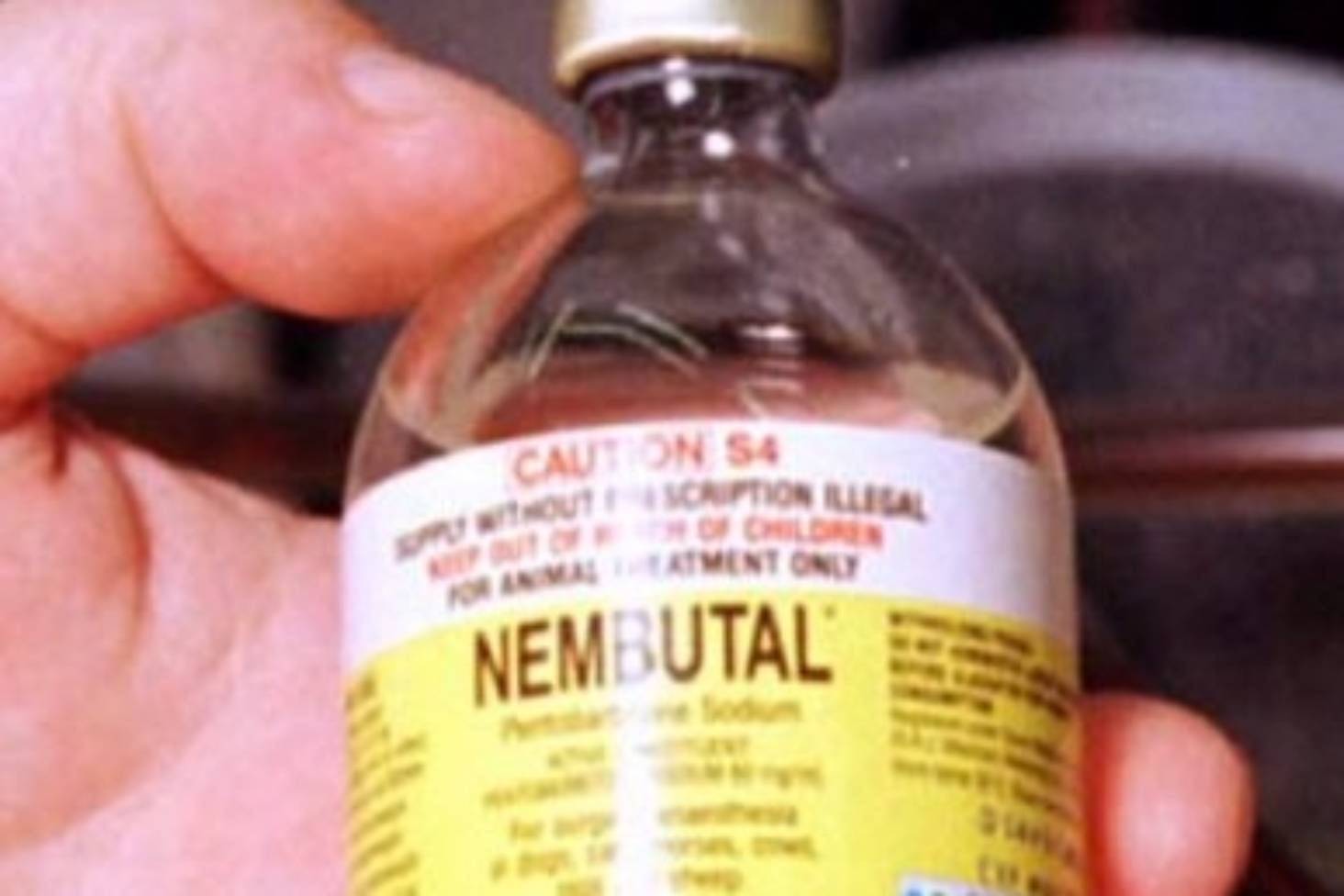 Qu'est-ce que le Nembutal ? Utilisations, avantages & Effets ...